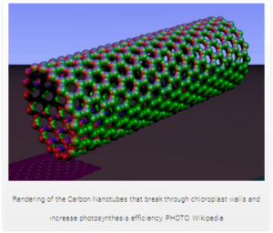 The World’s First Bionic Plant is Here - AgFunderNews