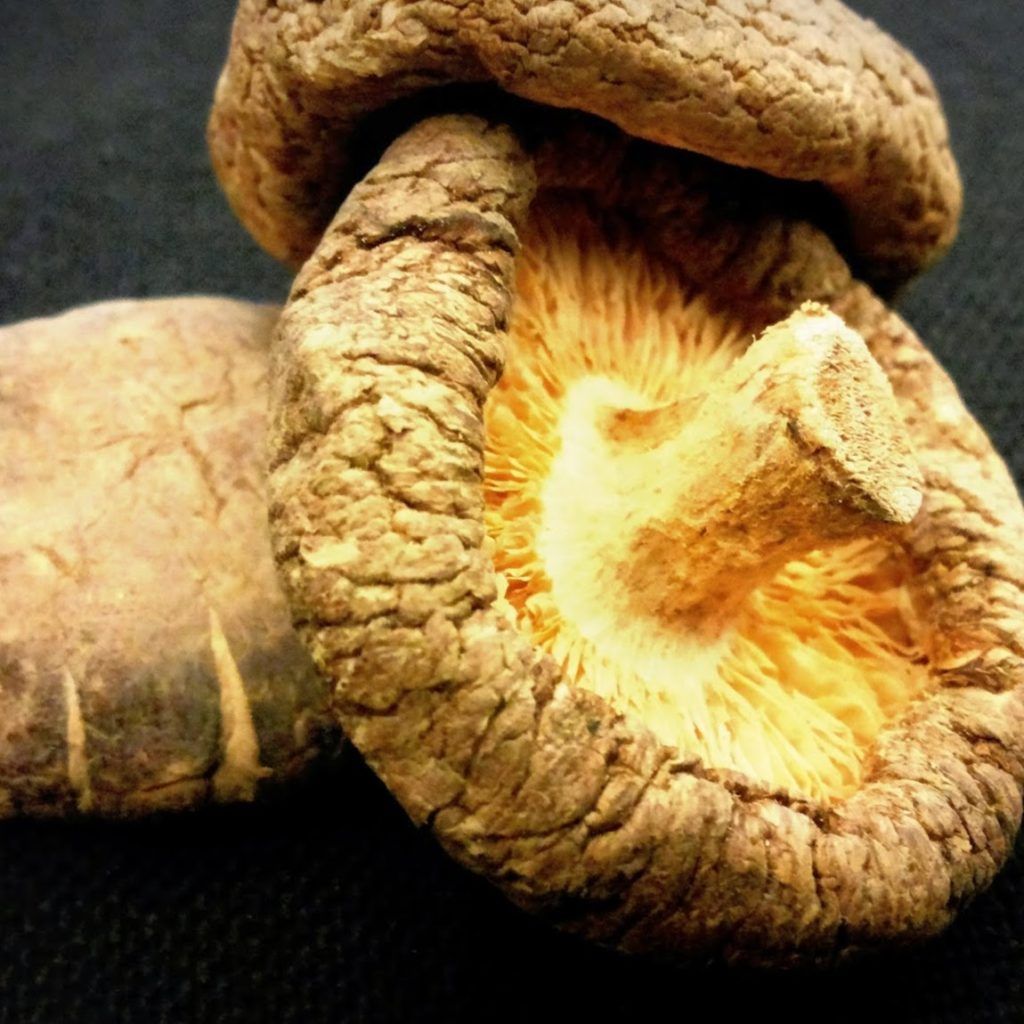 Indian Healthy Ingredients Startup WIMWI Foods Raises Seed Funding from ...