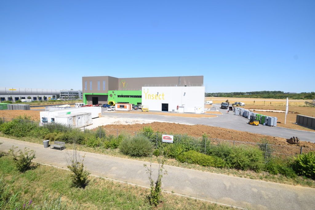 Ynsect Raises Funding for Robotics-Enabled Insect Farm