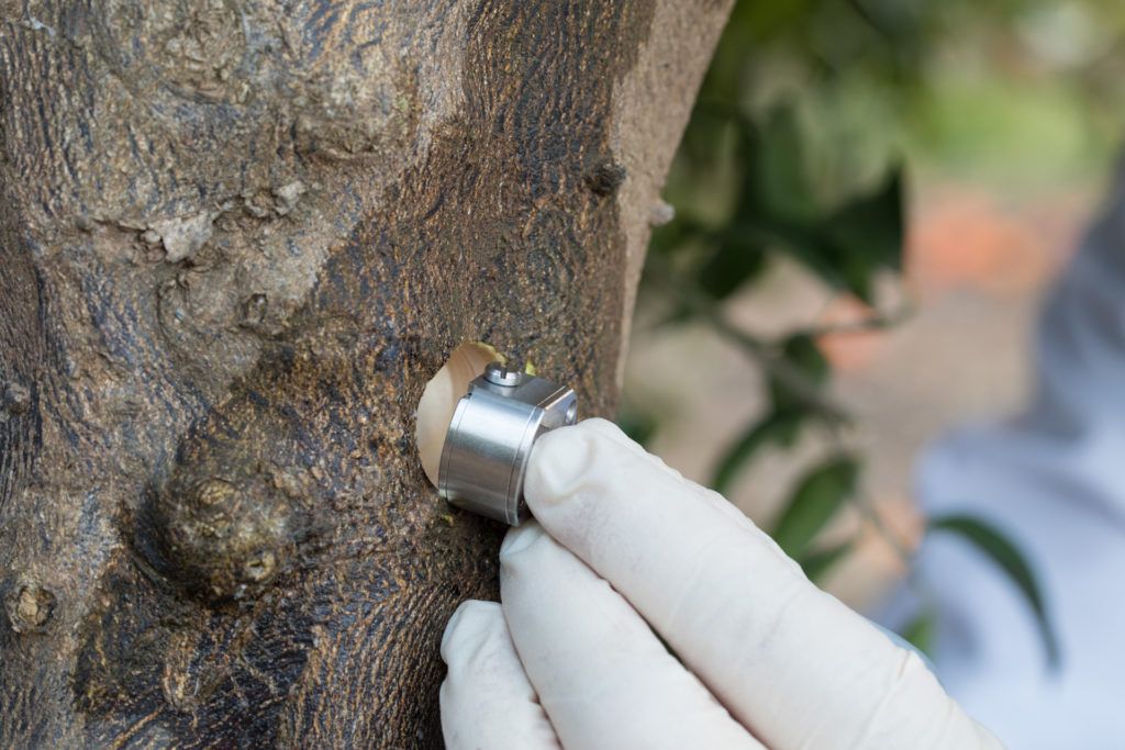 Women in Agtech: Saturas Founder Anat Halgoa Solomon - AgFunderNews