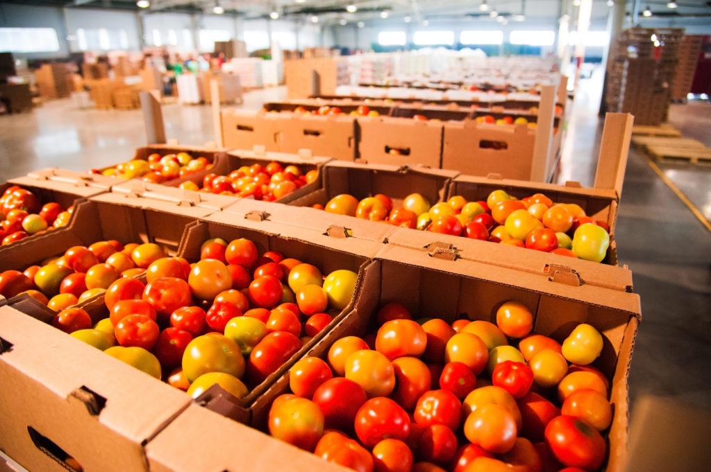 Newly Implemented FDA Produce Rules Offer Food Safety Startups a Boost ...