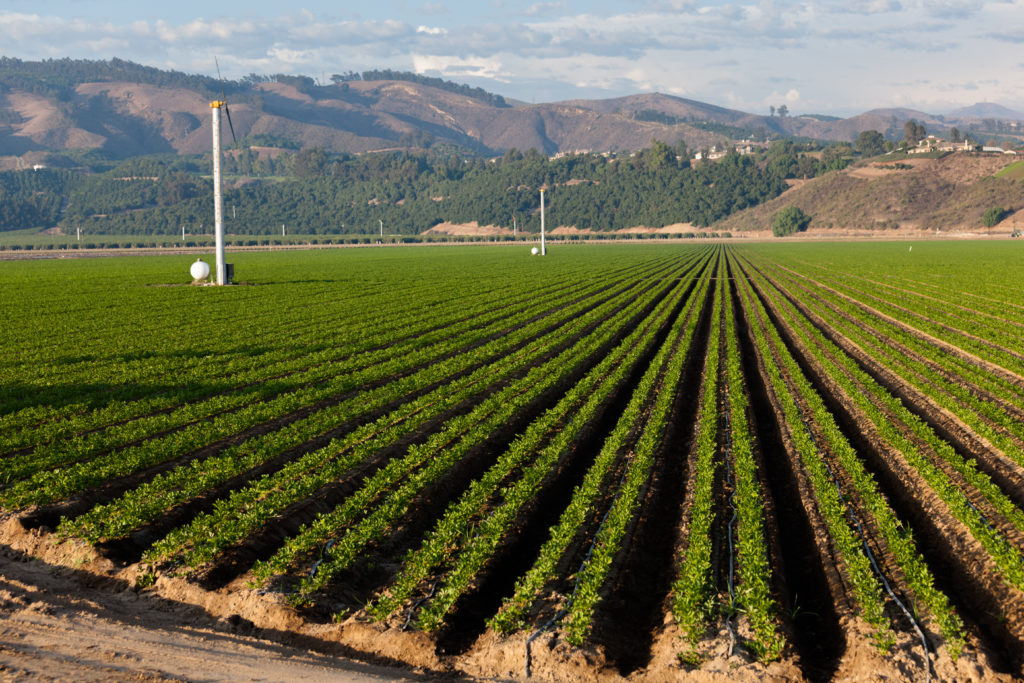 HarvestPort Moves Into Crop Inputs As E-Commerce for Farmers Broadens ...