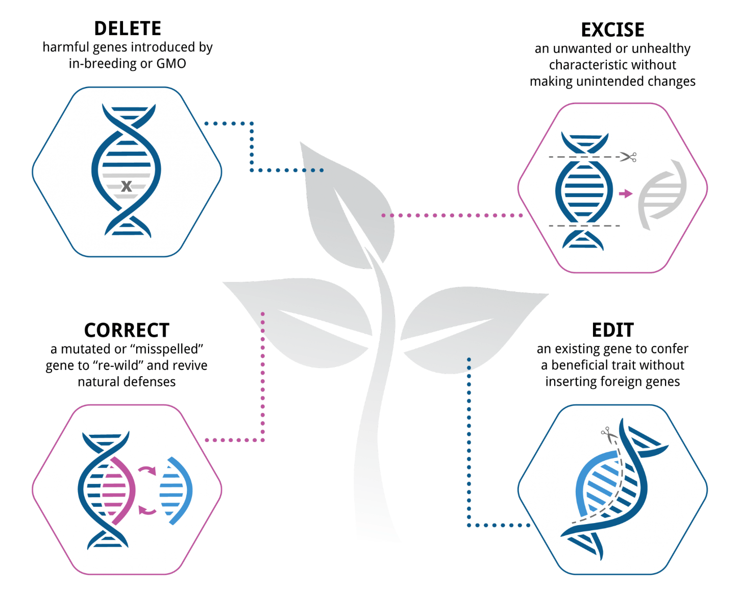 Pontifax AgTech Achieves 2nd Exit as Precision Biosciences IPOs with ...