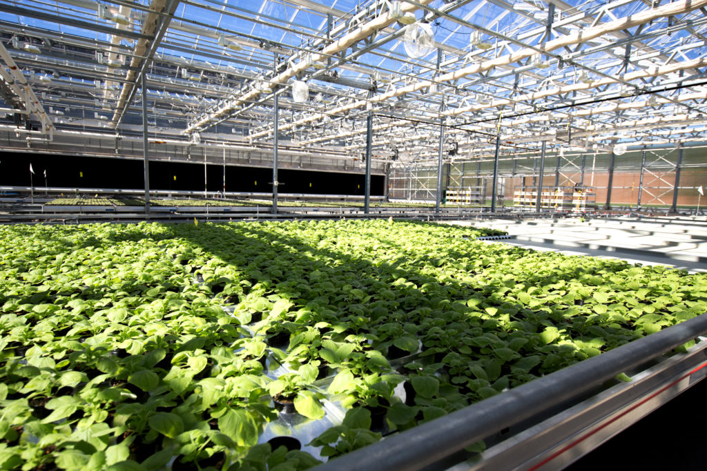 Alexandria Absorbs AgTech Accelerator into Seed Capital Platform and ...