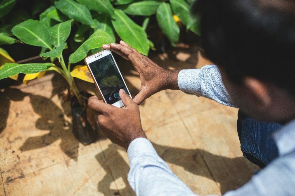 Crop disease recognition app Plantix raises €6.6m Series A led by RTP ...
