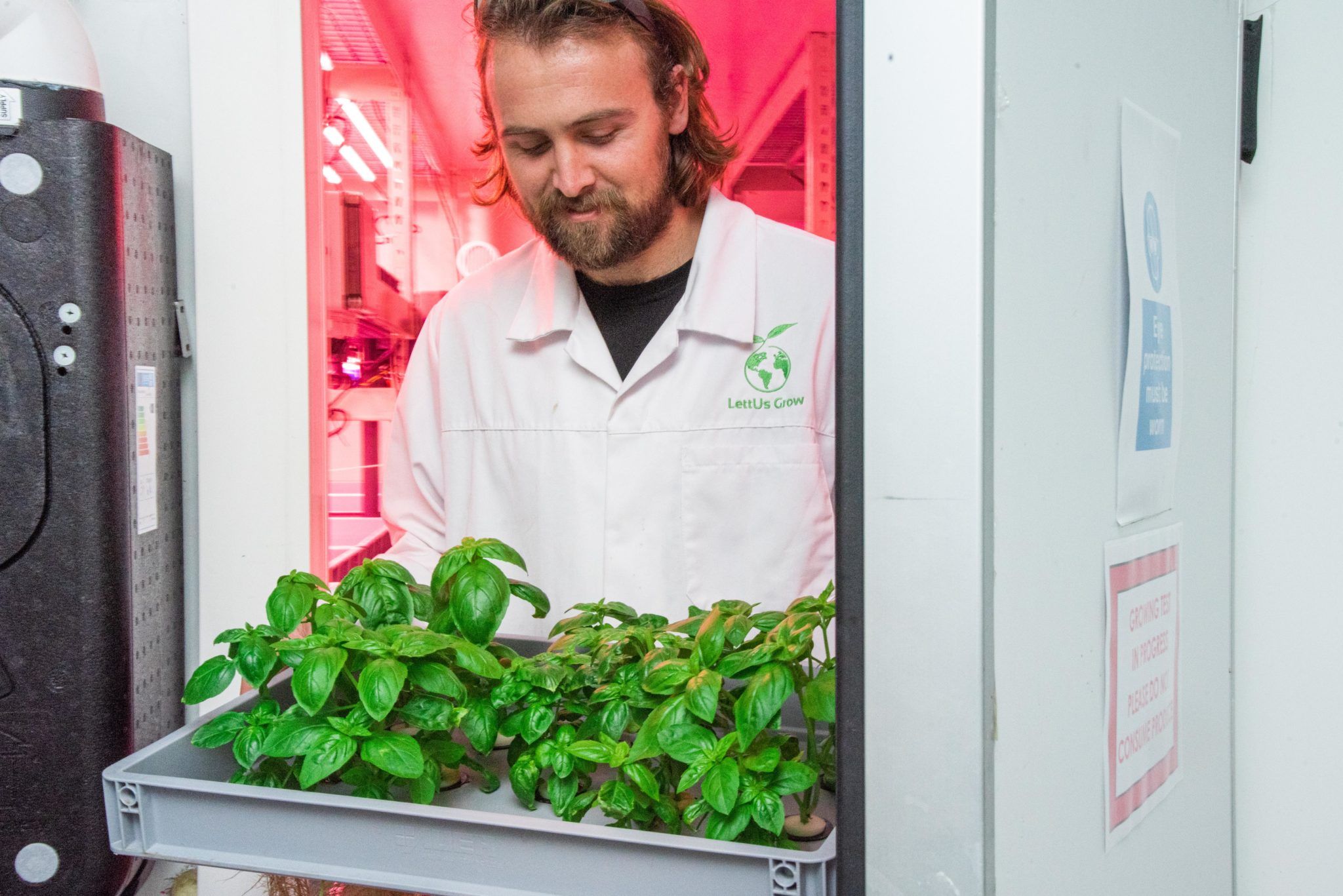 UK aeroponics startup LettUs Grow raises £2.35m seed round - AgFunderNews