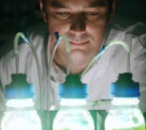 Provectus Algae to expand ‘carbon negative’ biomanufacturing platform