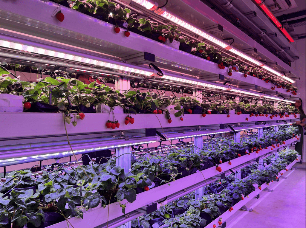 Singrow opens indoor R&D farm, plots expansion to Malaysia, Thailand