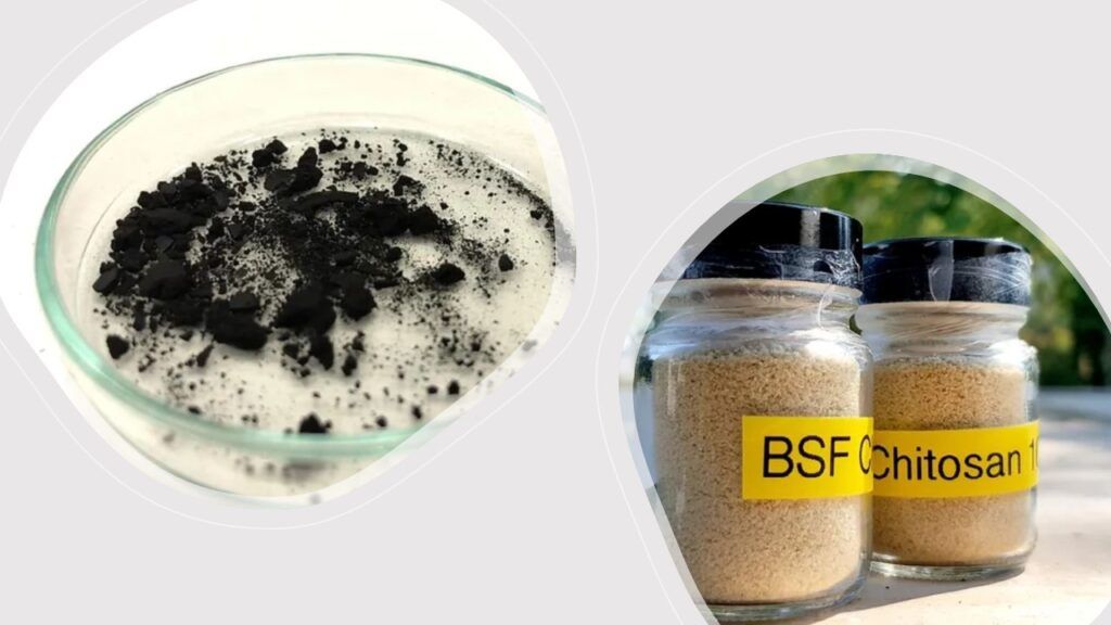 Insectta taps black soldier flies for high-value ingredients