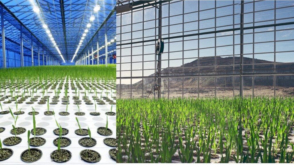 ORF Genetics on molecular farming, growth factors, and cultivated meat