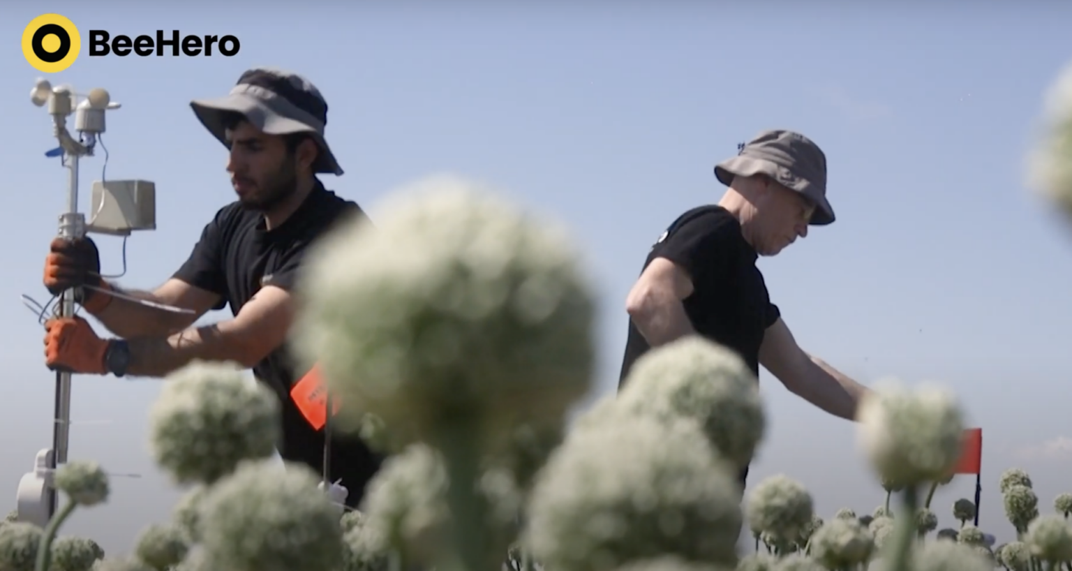 BeeHero launches a new pollination insights platform for growers