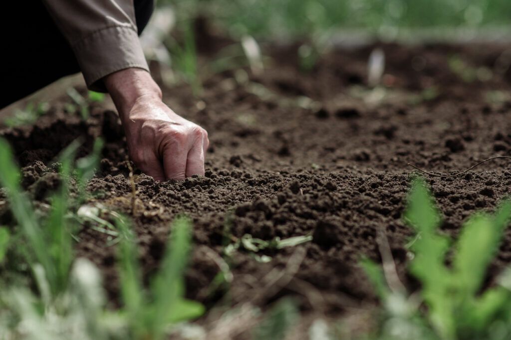 Phospholutions lands $10.15m for its fertilizer additive product