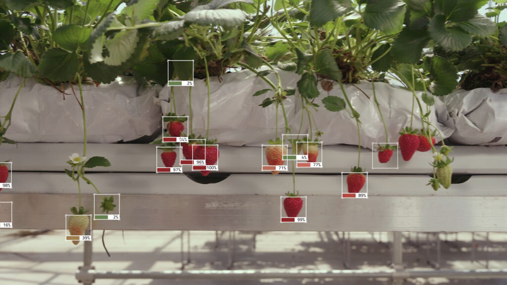 Japan's DAIZ lands $47m: The Week in AgriFoodTech: