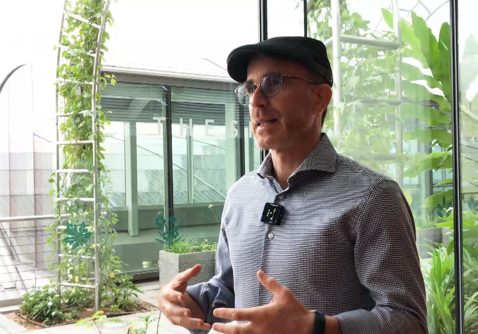 Aleph Farms: Expectations for cultivated meat were 'mismanaged'