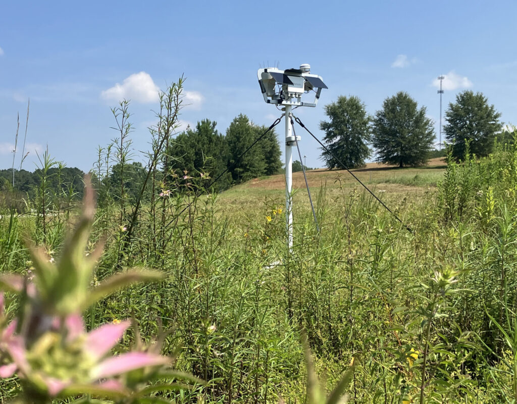 Agrela's Nadia Shakoor on how to restore biodiversity to highways