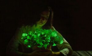 Light Bio’s bioluminescent plants show ‘magic’ of biotech
