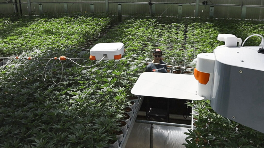 Why AgFunder invested in Neatleaf