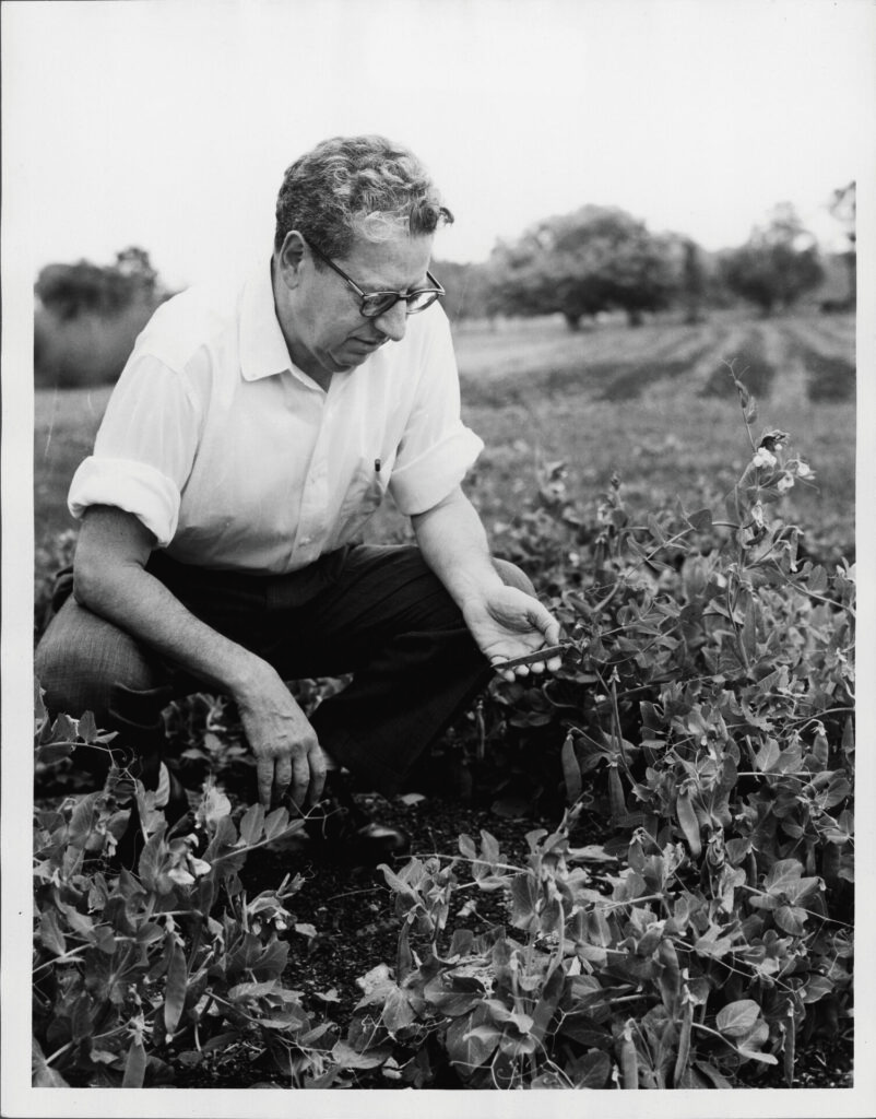 Rodale Institute & Propagate discuss agroforestry partnership
