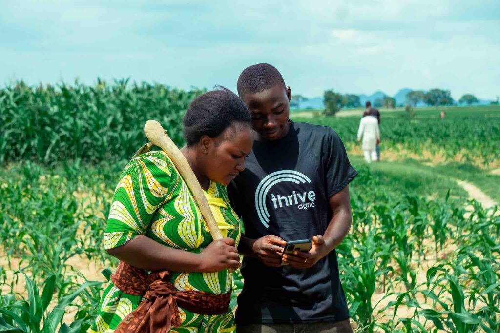 ThriveAgric aims for year-round food production for Africa
