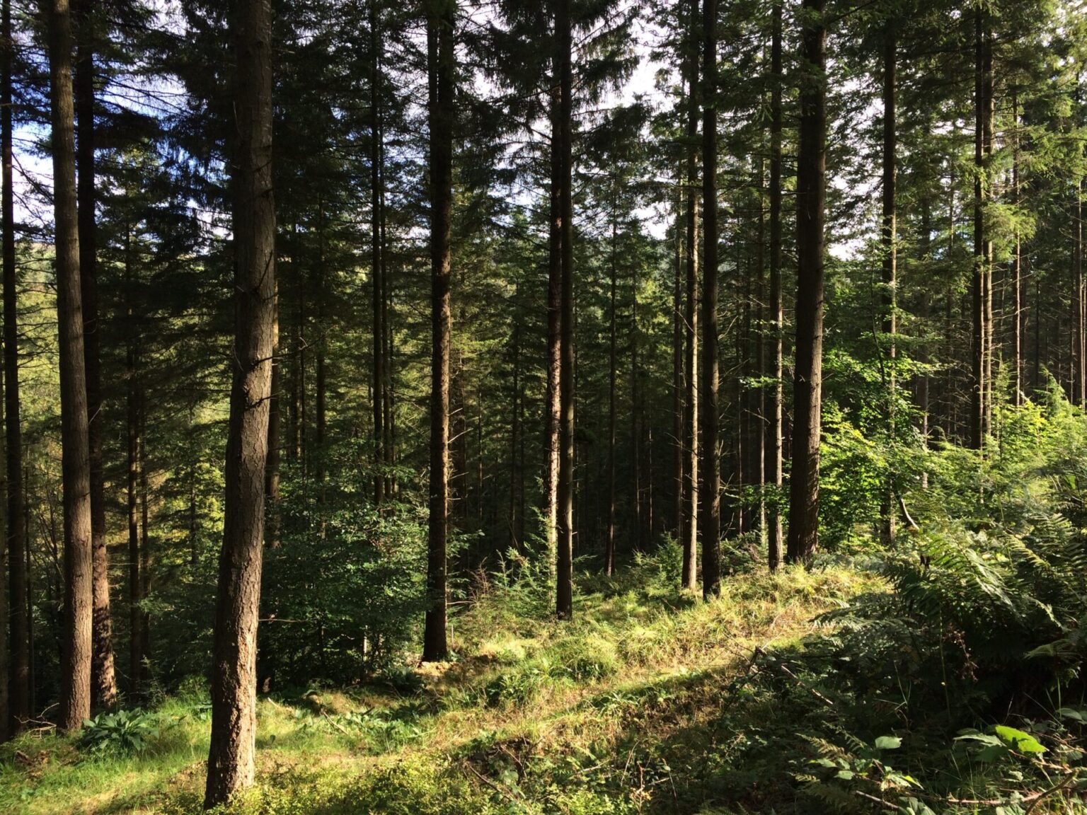 SLM's 40% AUM growth 'driven by investors'