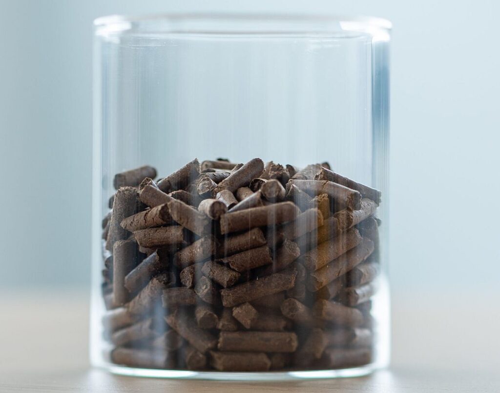 Innovafeed nets $11.8m USDA grant to fund bug-based fertilizer