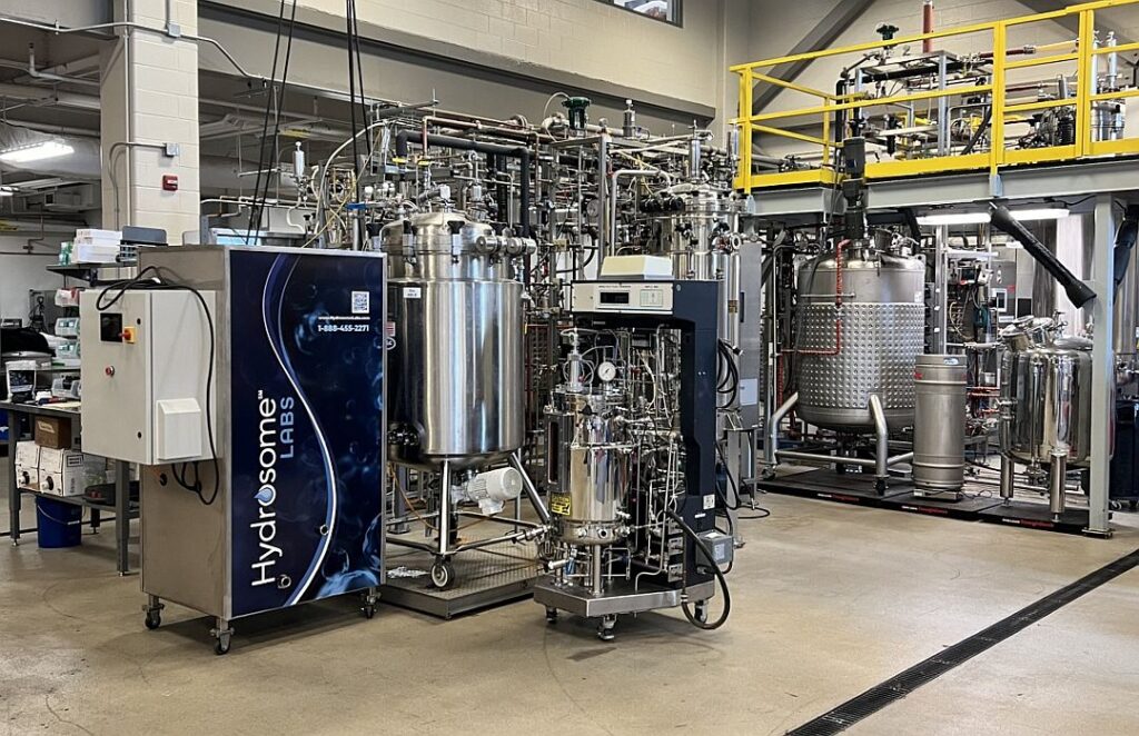 Unlocking the potential of ultrafine bubbles
