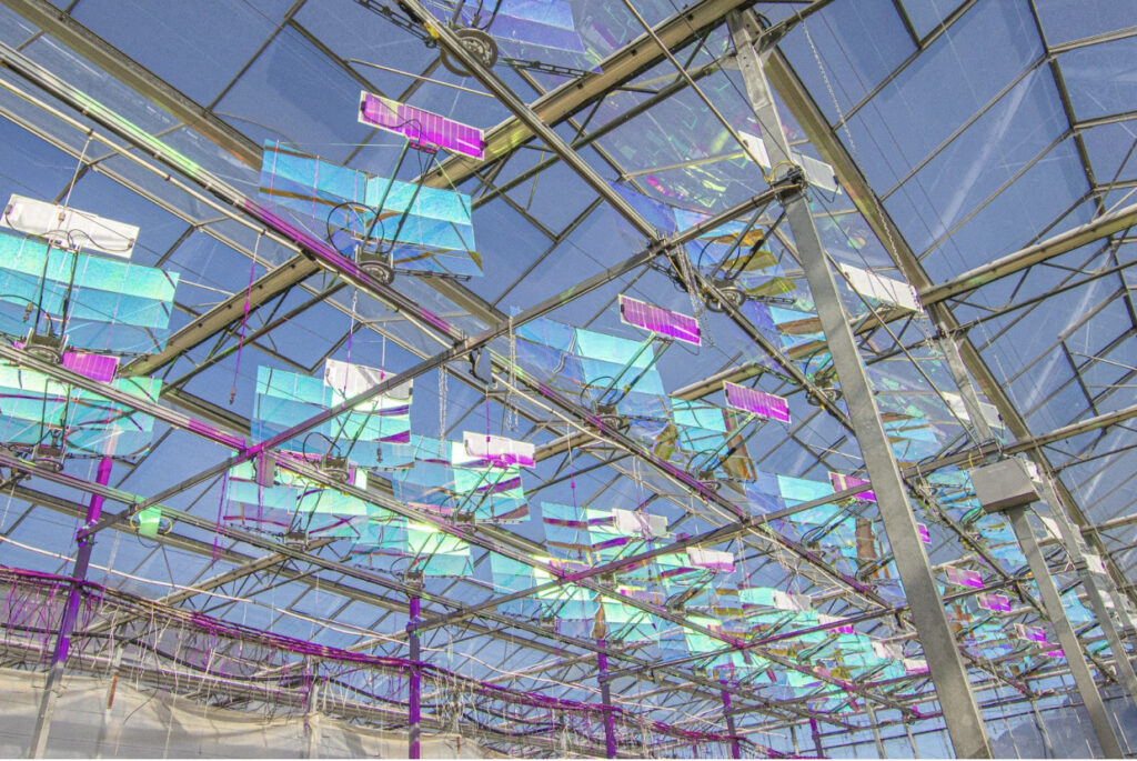 Voltiris aims to 'transform the greenhouse into a solar field'