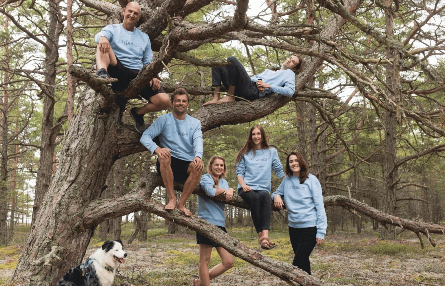 Afforestation has 'high upfront costs' many landowners can't afford