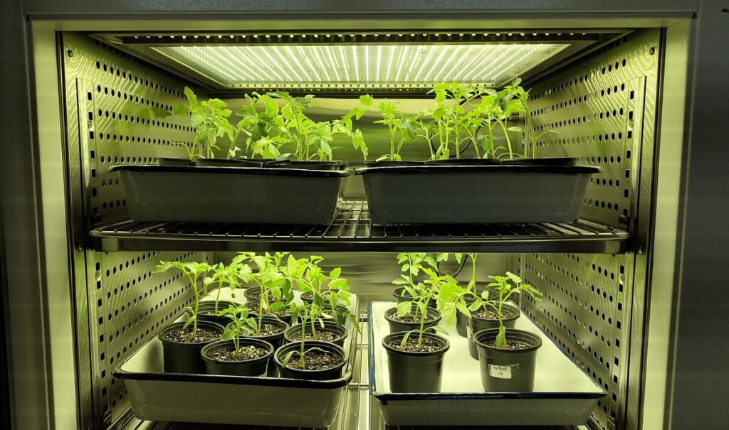 Building farmer trust: BioPrime’s journey in climate-resilient ag