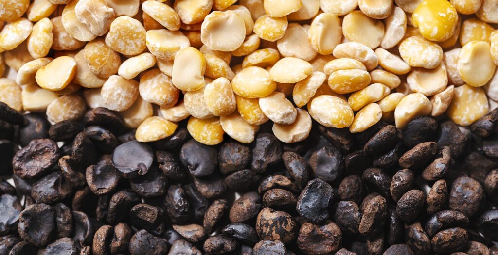 Koppie emerges from stealth to disrupt alt-coffee market