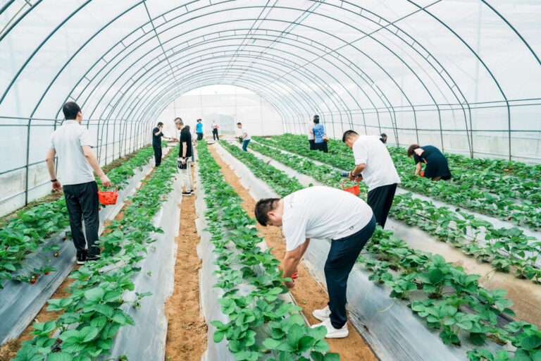 Singrow lands Series A funding