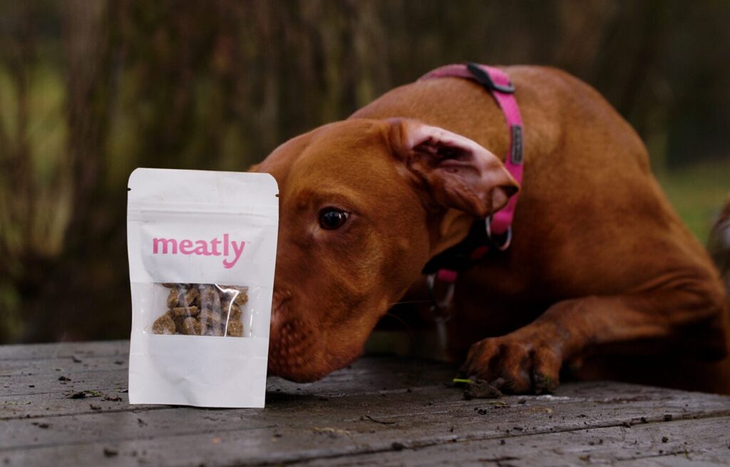 Meatly CEO on cultivated petfood: ‘This can be mass market'