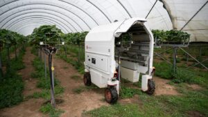 Saga Robotics secures $11.2m for fungus-fighting farm bots