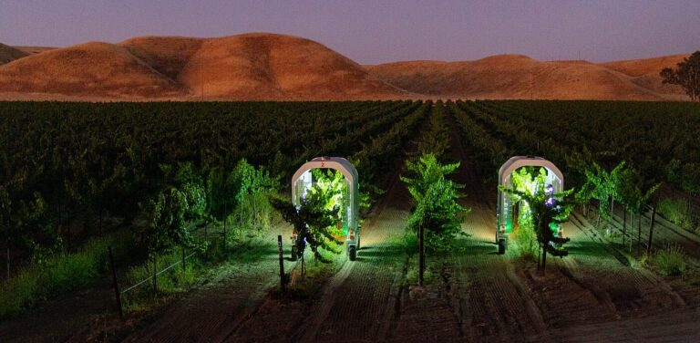 Saga Robotics secures $11.2m for fungus-fighting farm bots