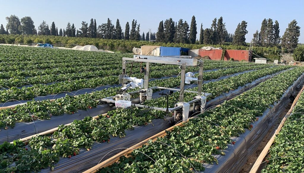 DailyRobotics enters robotic strawberry harvesting race